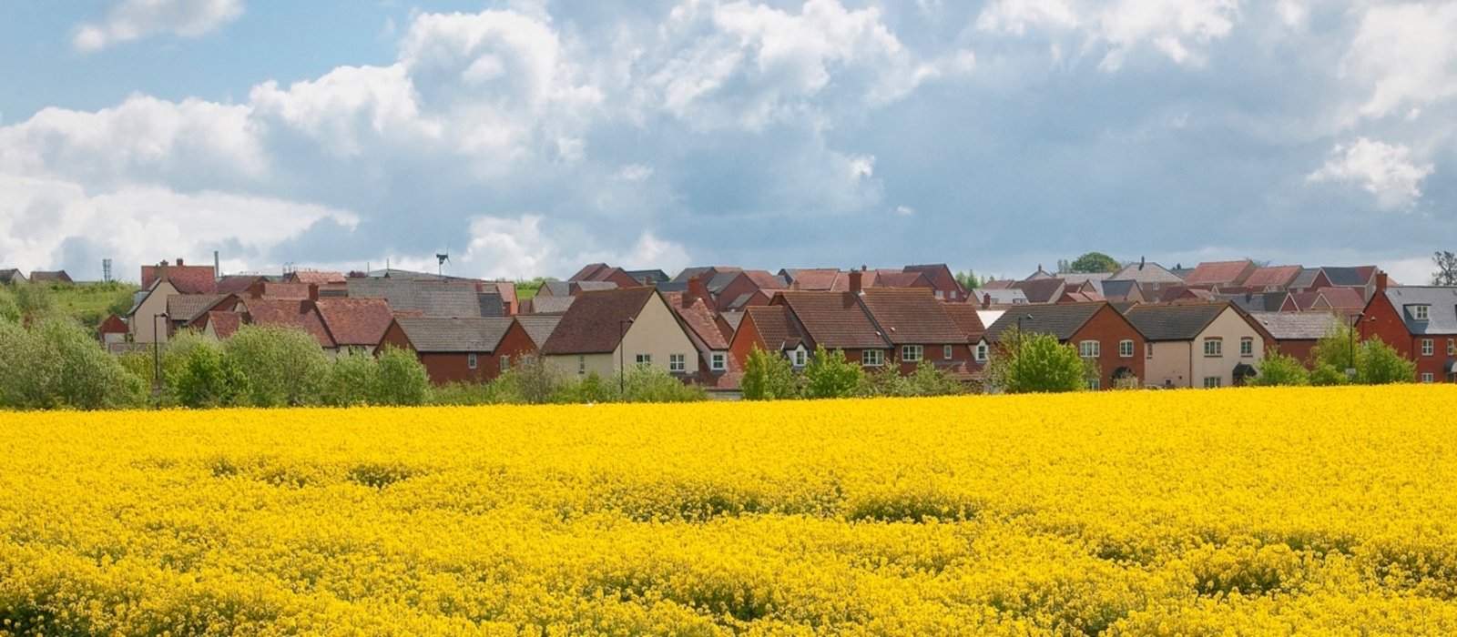 Our development agency team continues to grow! | Fisher German