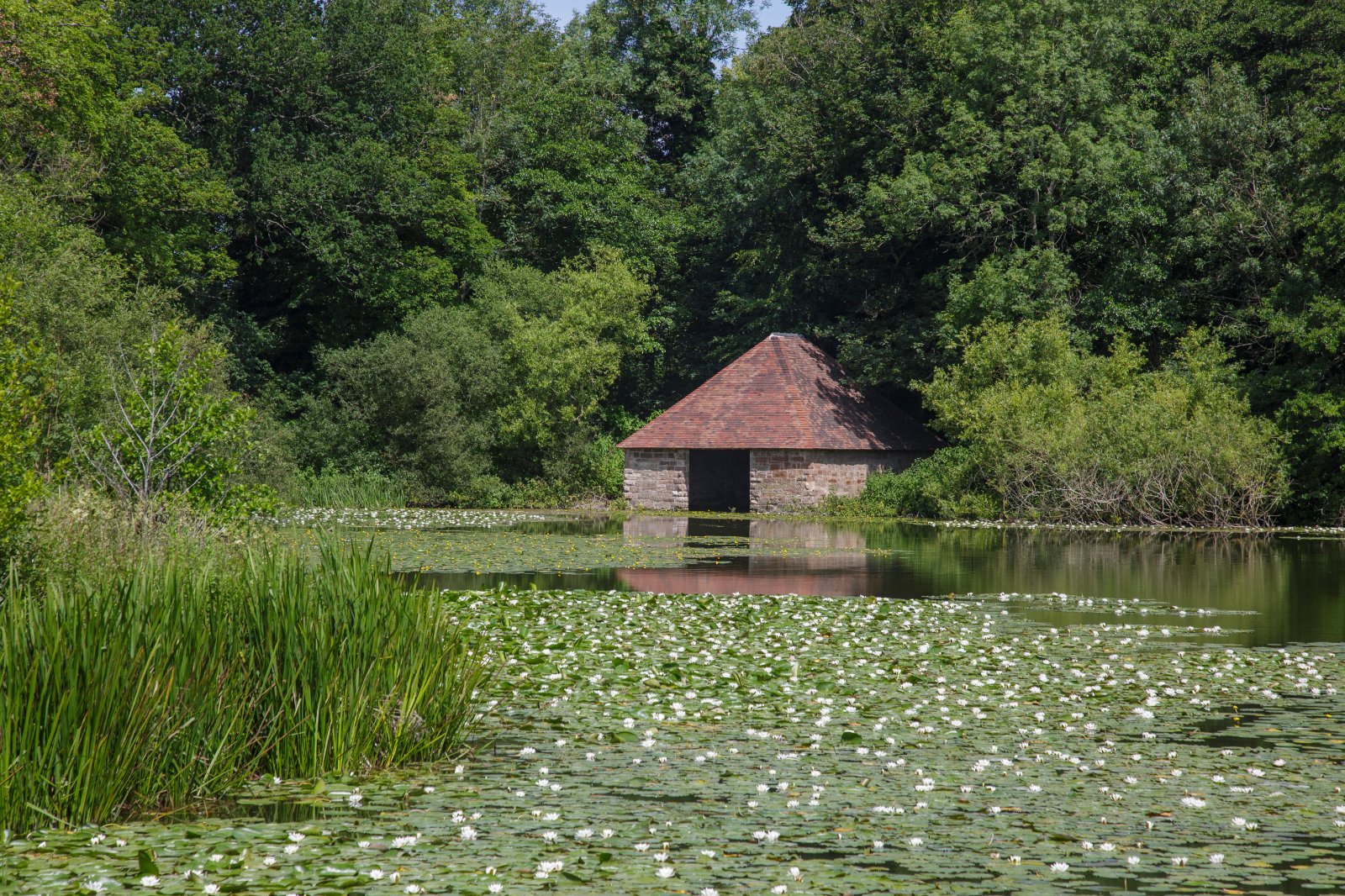 Land for sale in Patshull Park, Burnhill Green, Wolverhampton ...